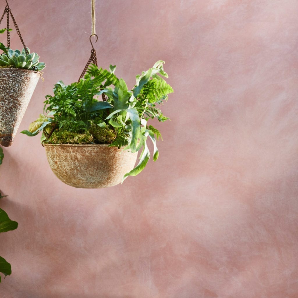 Mur effet enduit | Annie Sloan FR