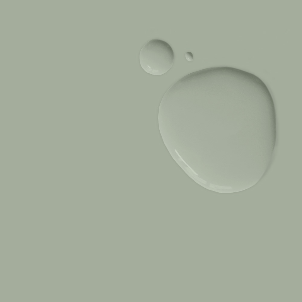 Green Chalk Paint ® | Annie Sloan US